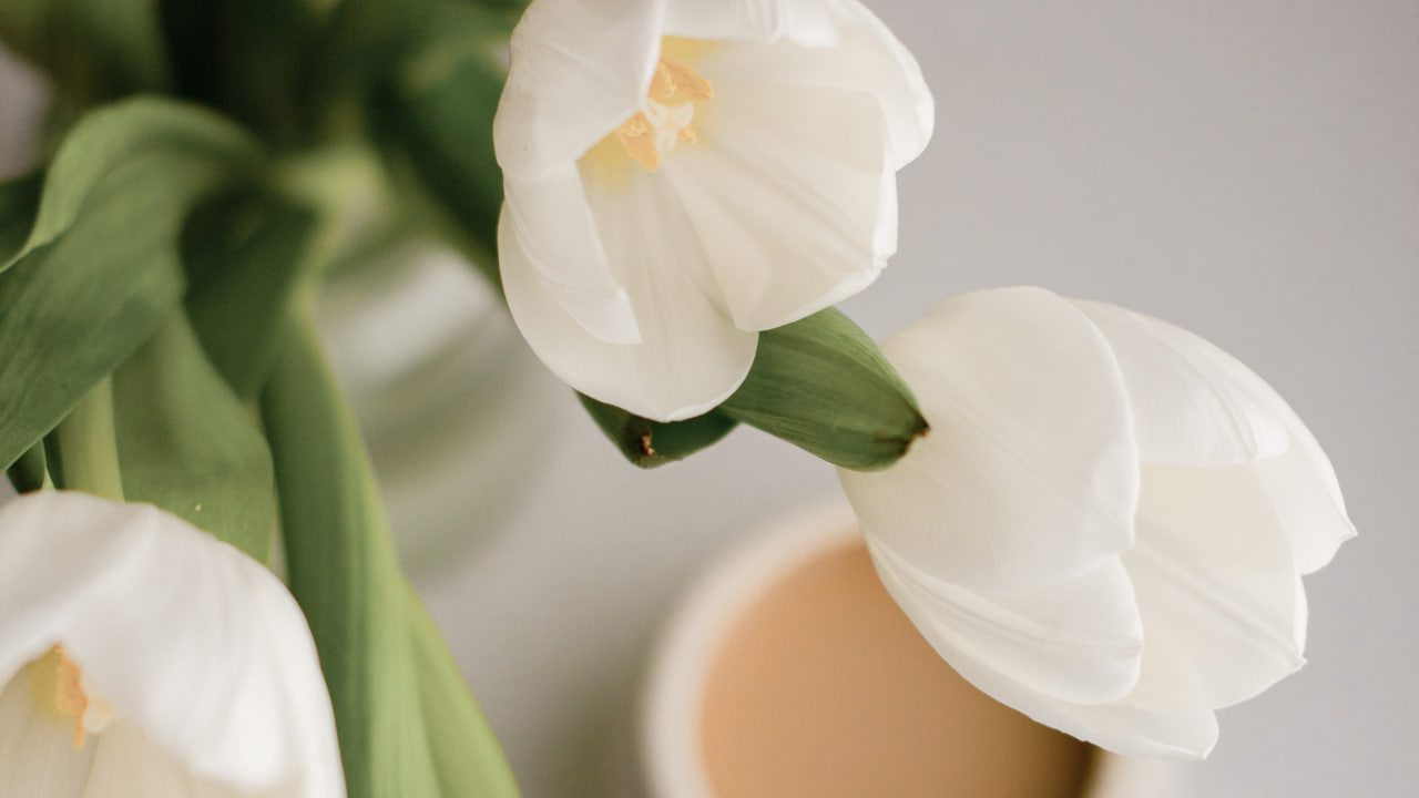 Crave Pure Spiritual Milk - 1 Peter 2 v 1-3 - Christ In Andy