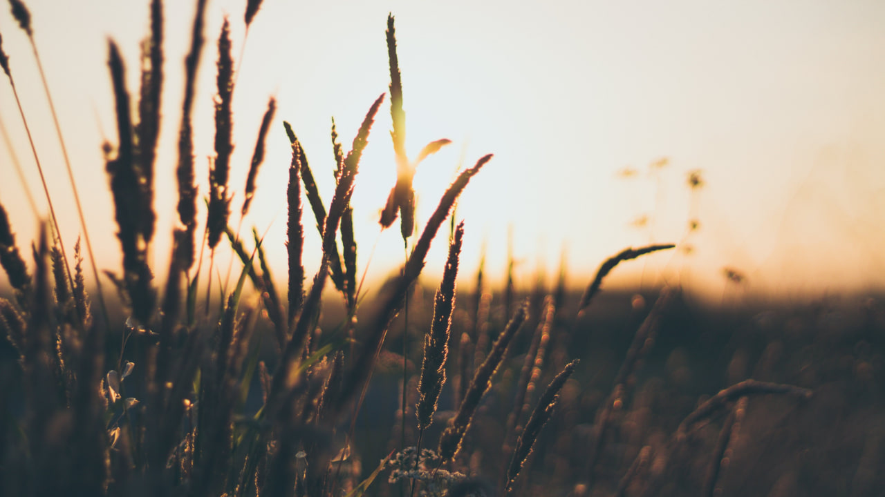 What You Must Do if You Want to Love Life and See Good Days